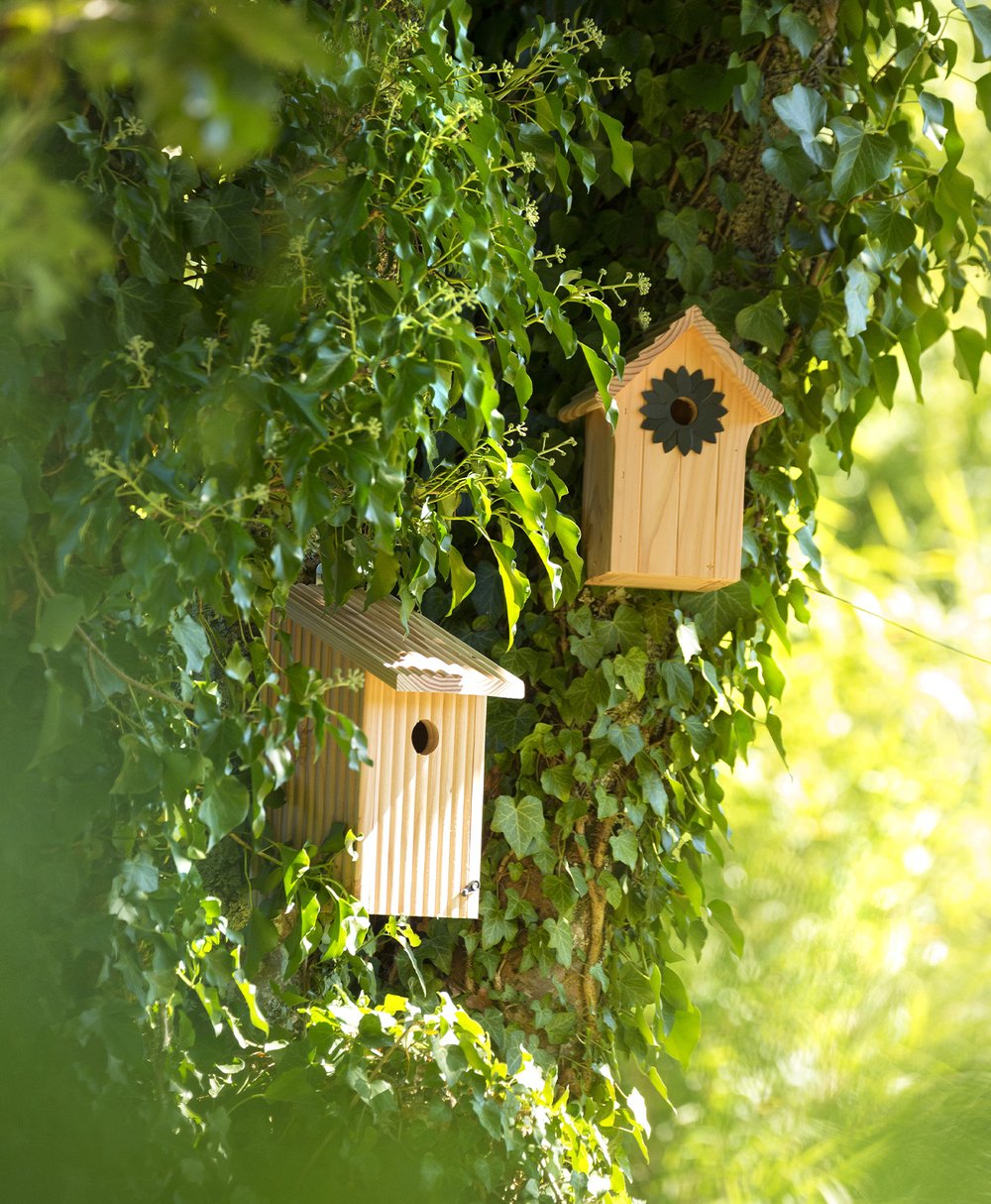 Comment installer un nichoir pour les oiseaux dans son jardin