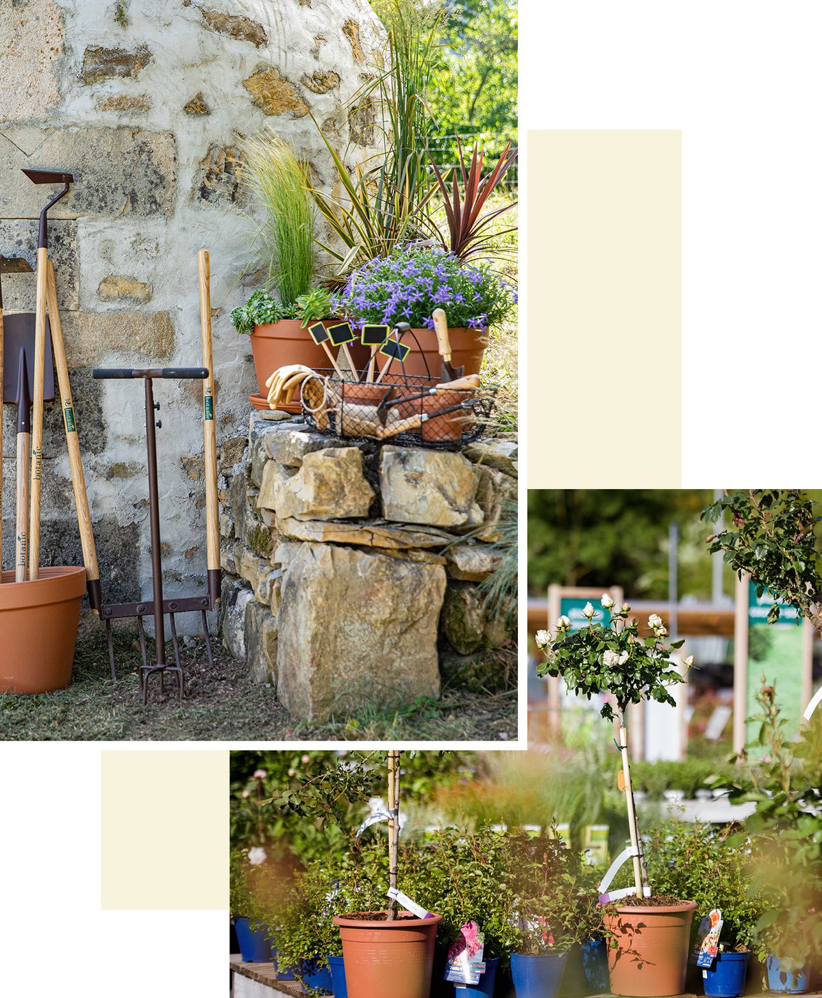 Le concept des magasins | botanic®