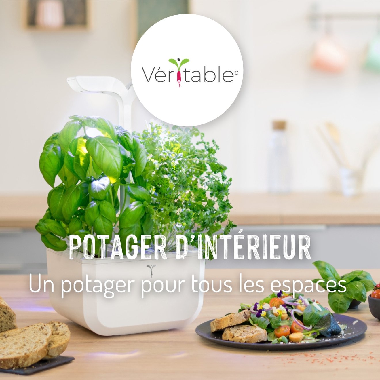 Potager d'intérieur autonome Véritable® SMART Arctic White - livré avec ...