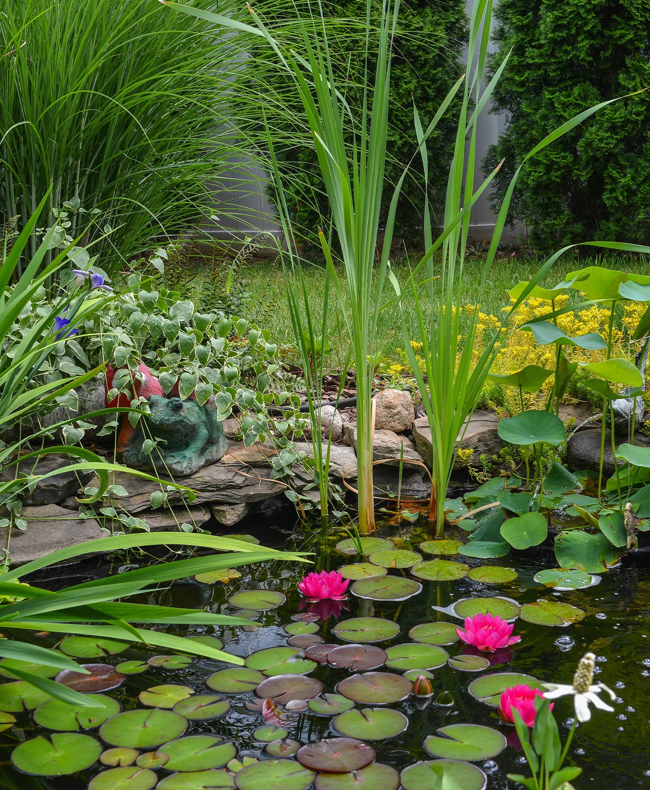 Comment aménager un bassin aquatique dans un jardin