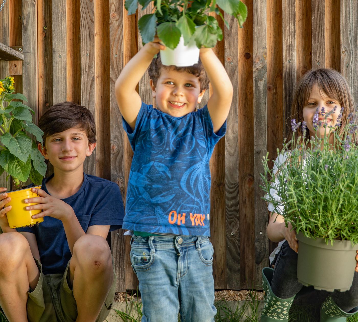 Potager & verger | botanic®