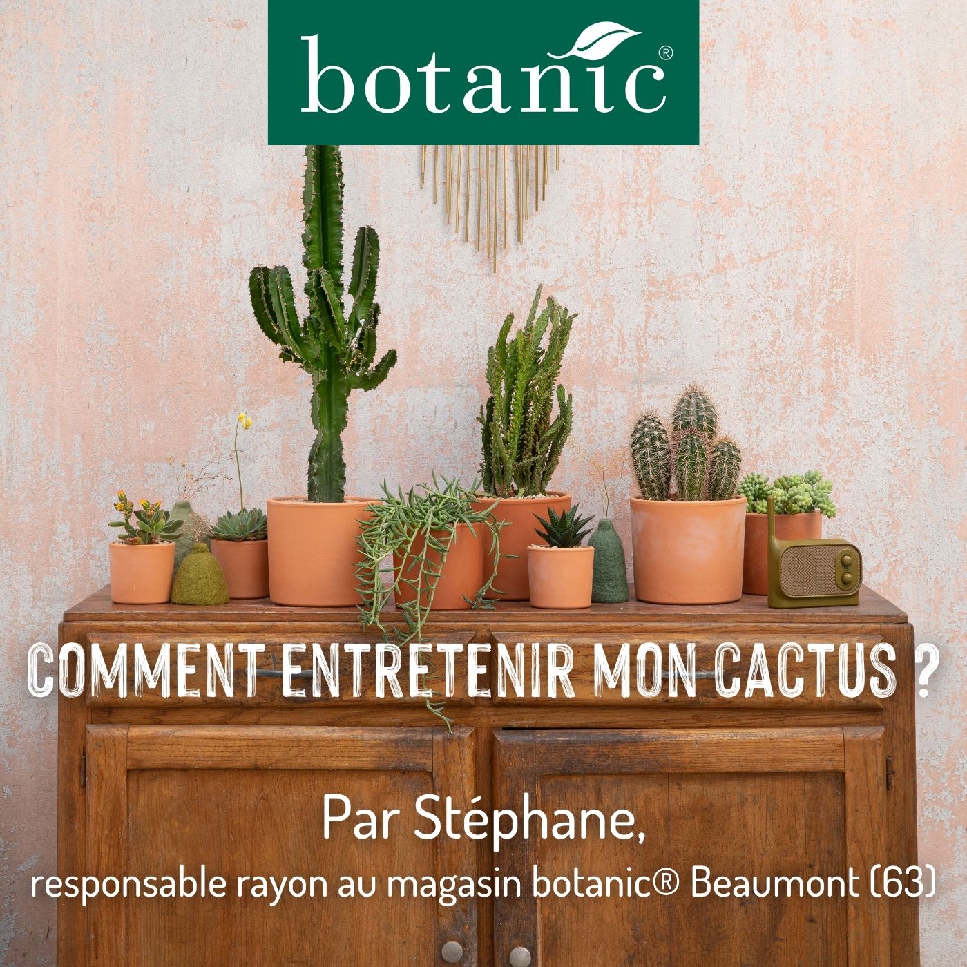 Sitemapcdatahttpsmodeinf Inetcombotanic Pot Terre Cuite