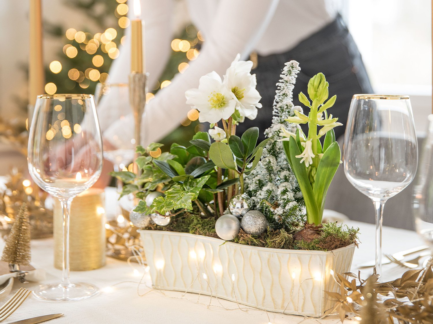 Plantes et fleurs de Noël : lesquelles choisir