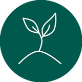 botanic® Lorient : Jardinerie et Animalerie, Morbihan (56)