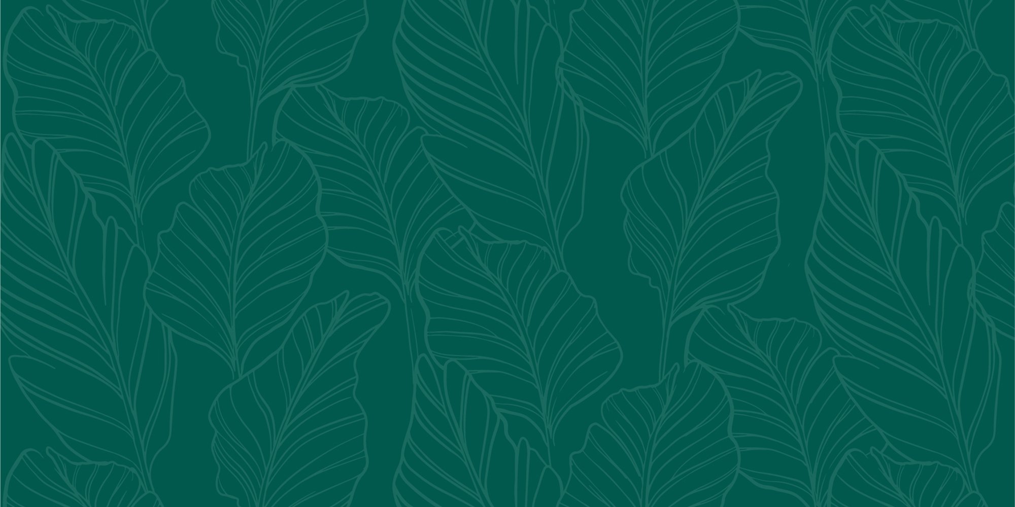 Quel aquarium choisir pour mon poisson