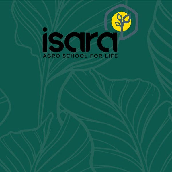 Alternance, stages, jobs étudiants et contrats saisonniers