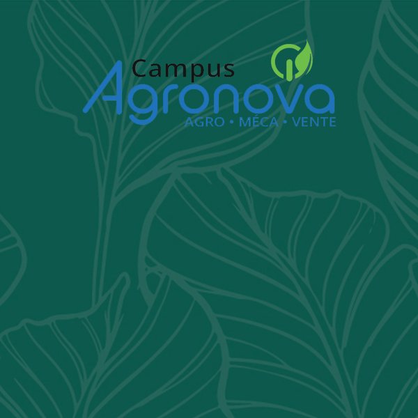 Alternance, stages, jobs étudiants et contrats saisonniers