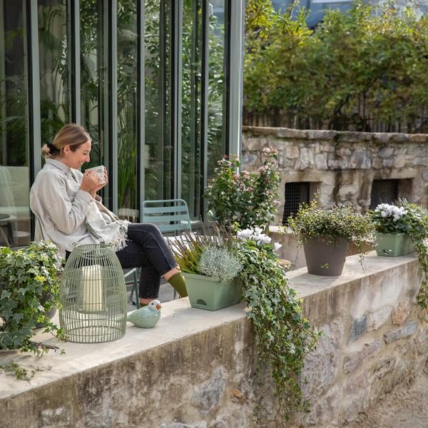 botanic® : jardinerie écologique, animalerie, décoration, alimentation bio