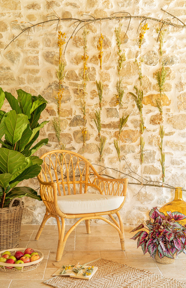 Inspirations autour de la décoration & plantes d'intérieur | botanic®