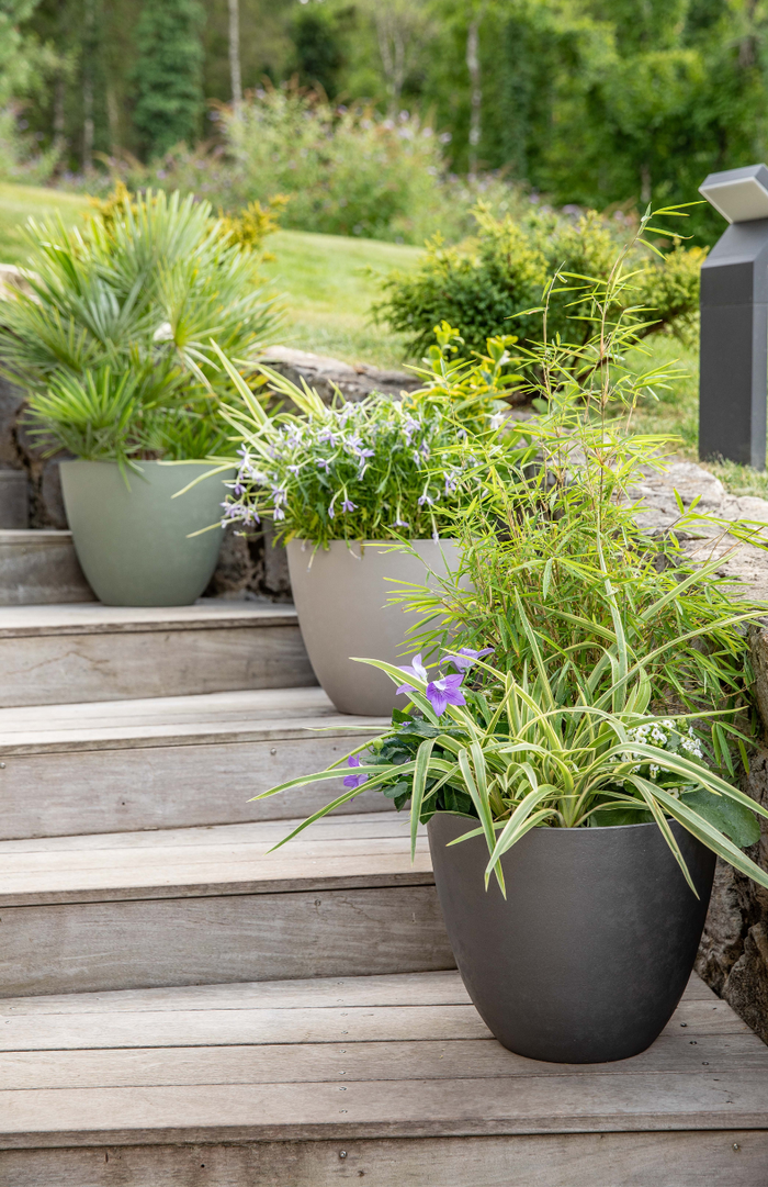 botanic® : jardinerie écologique, animalerie, décoration, alimentation bio