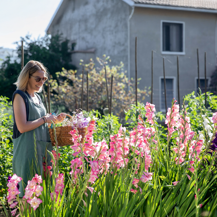 botanic® : jardinerie écologique, animalerie, décoration, alimentation bio