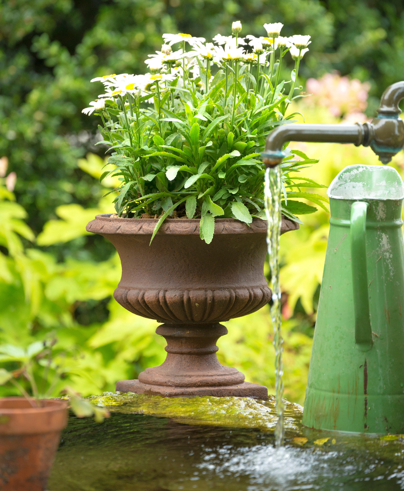 Comment aménager un bassin aquatique dans un jardin
