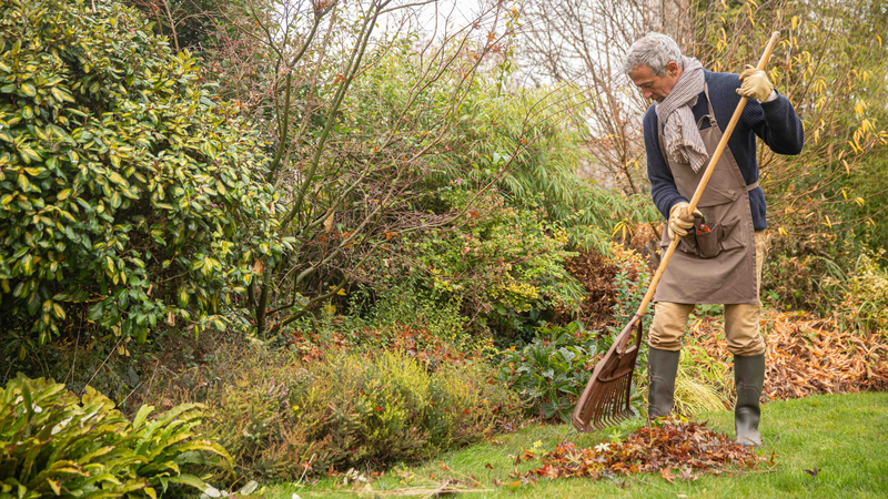 botanic® : jardinerie écologique, animalerie, décoration, alimentation bio