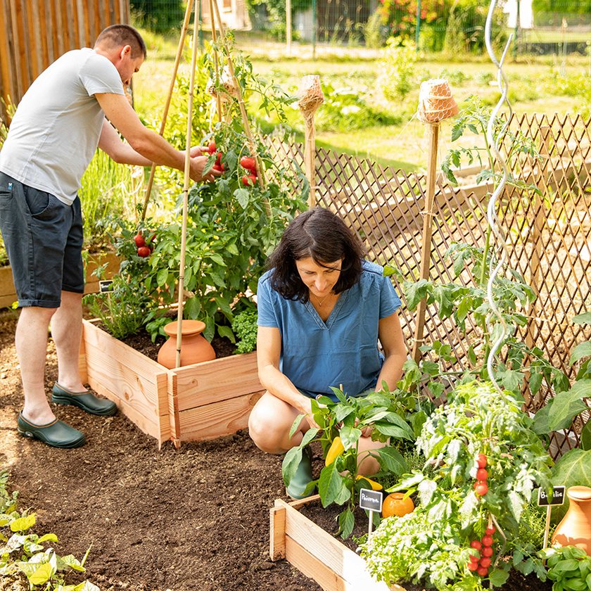 Mon potager en famille : nos inspirations