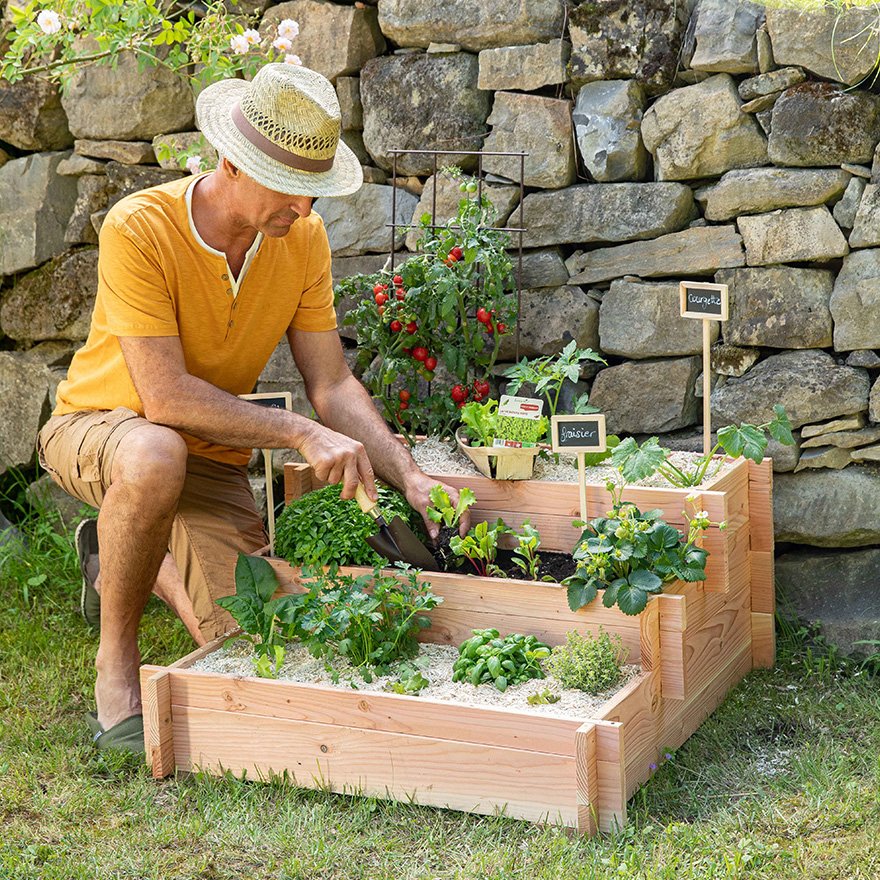 Mon potager en famille : nos inspirations