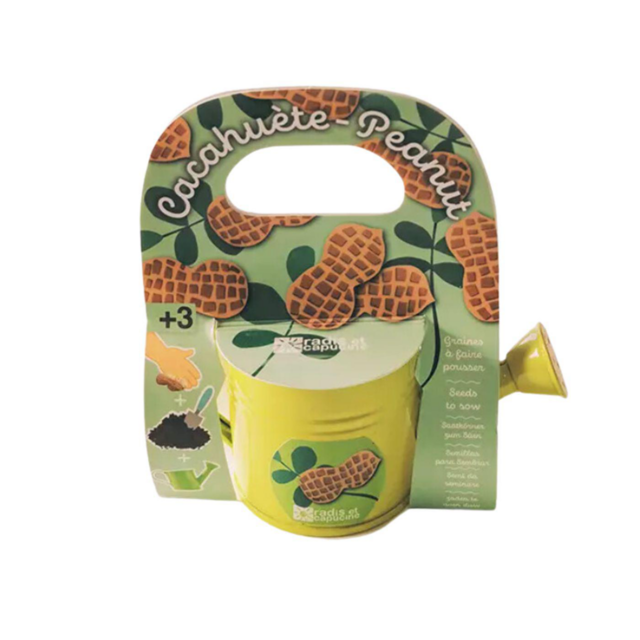 Arrosoir en zinc vert avec graines de cacahuètes Radis et Capucine