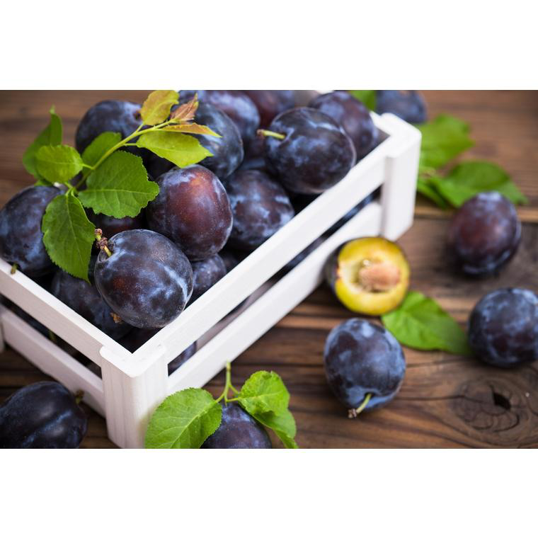 Prune Président bio de France - Prix au kg