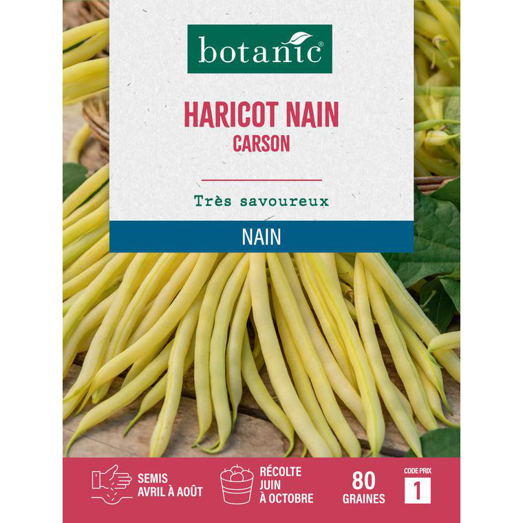 Graines d'haricot nain carson botanic® - graines nain semer