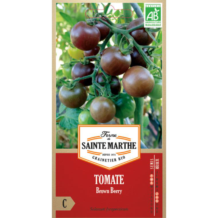 Graines de Tomate Brown Berry bio Ferme de Sainte Marthe - graines à semer