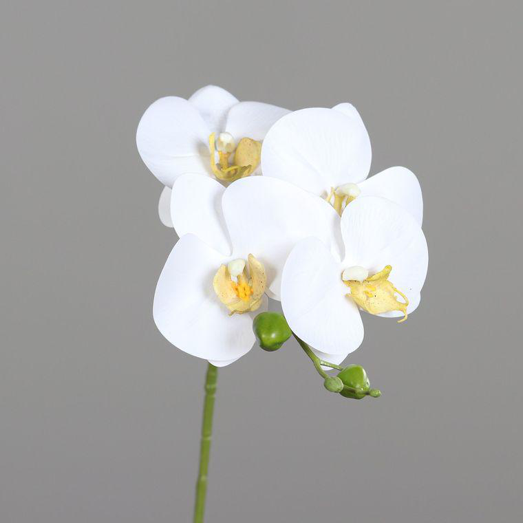Orchidée tige crème artificielle Real Touch - 66 cm | botanic®