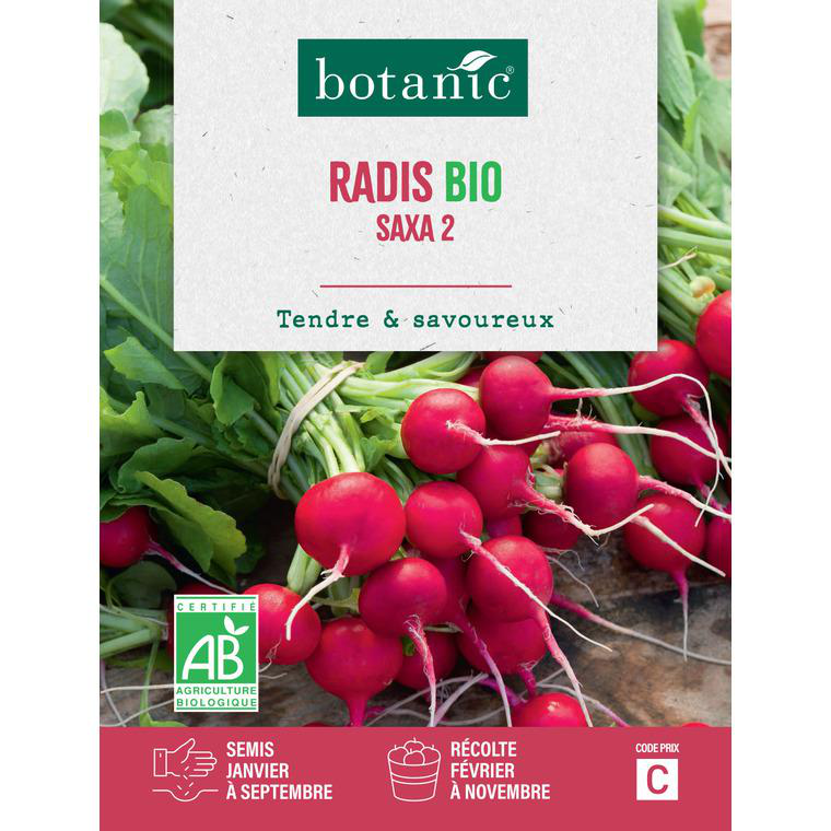 Graines de radis saxa 2 bio botanic® - graines saxa semer | botanic®