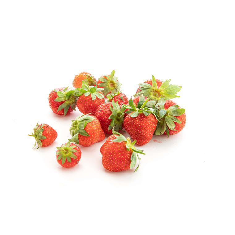 Fraises bio de France - Barquette de 500 g