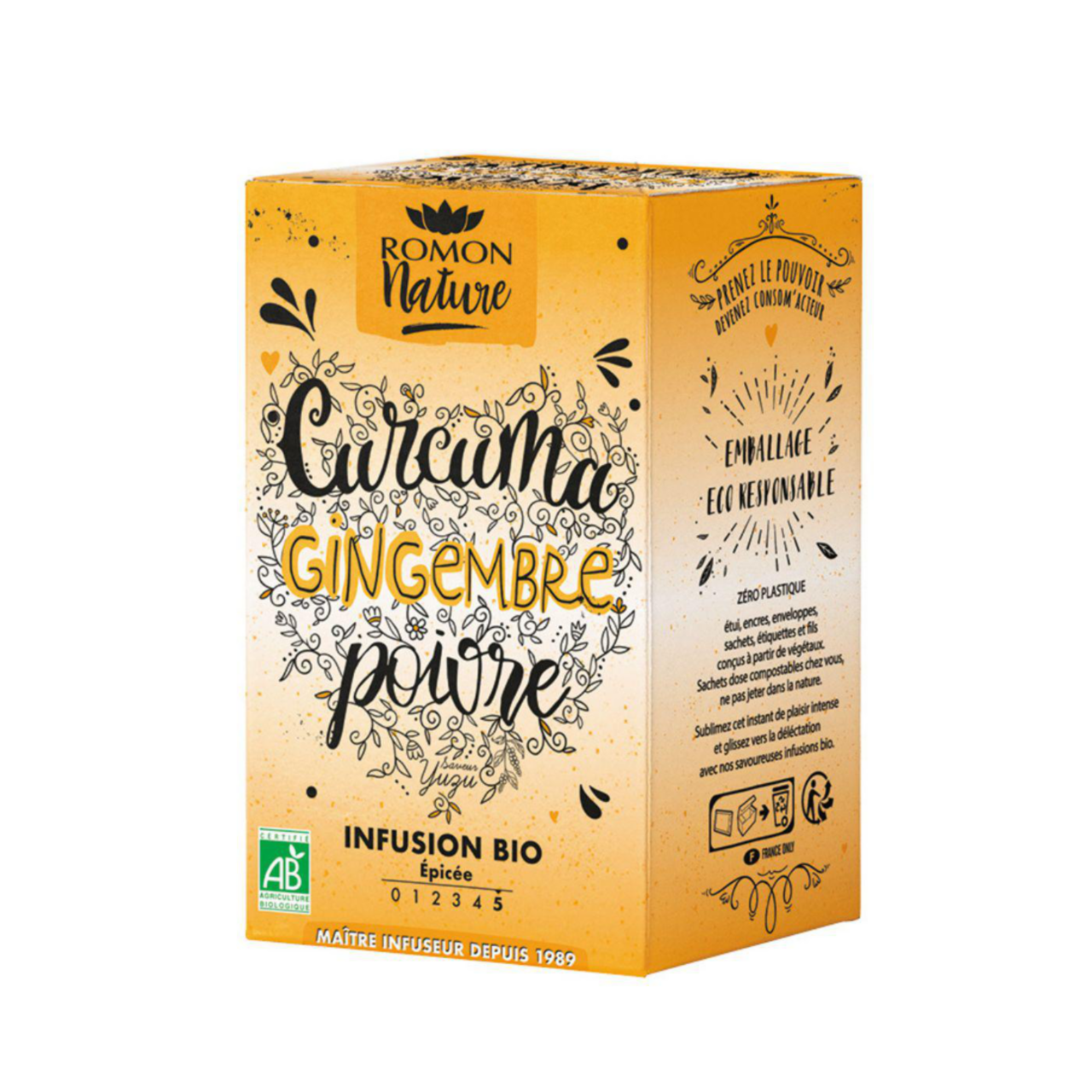 Infusion Curcuma Gingembre Poivre bio - 16 sachets | botanic®