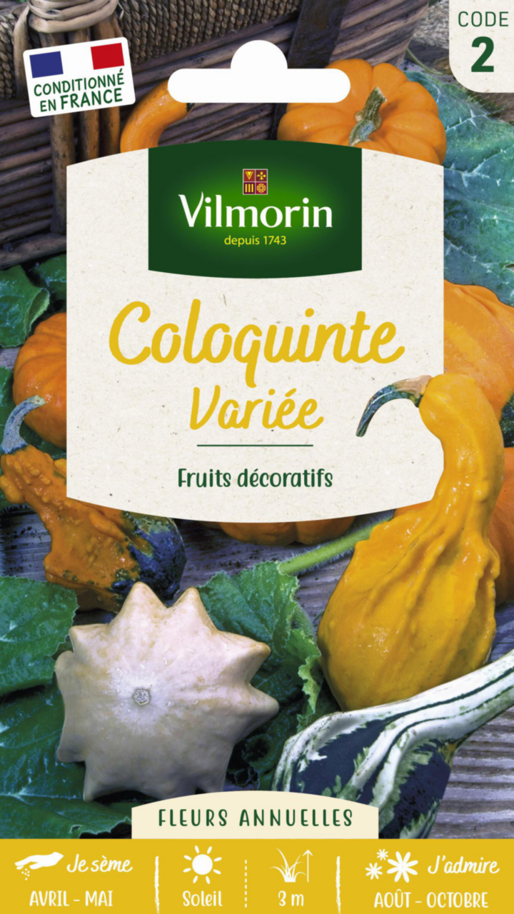 Graines de Coloquinte variée Vilmorin - graines à semer
