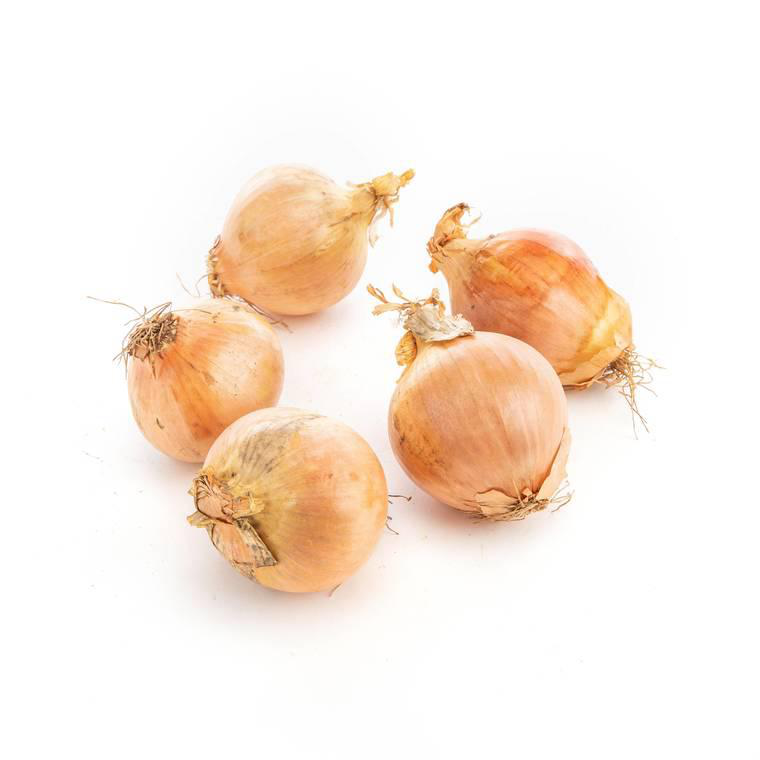 Oignon jaune bio de France - Filet de 500g