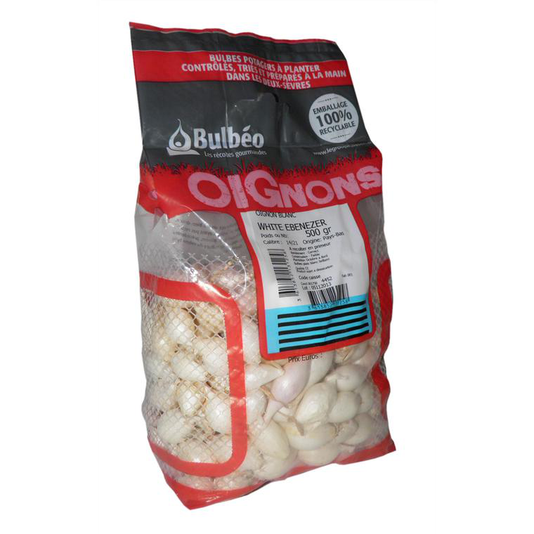 Bulbes d’oignons blanc White Ebenezer calibre 14/21, 500 g