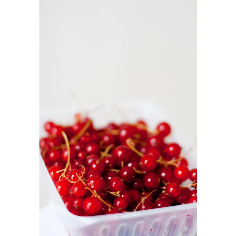 Groseilles bio de France - Barquette de 125 g