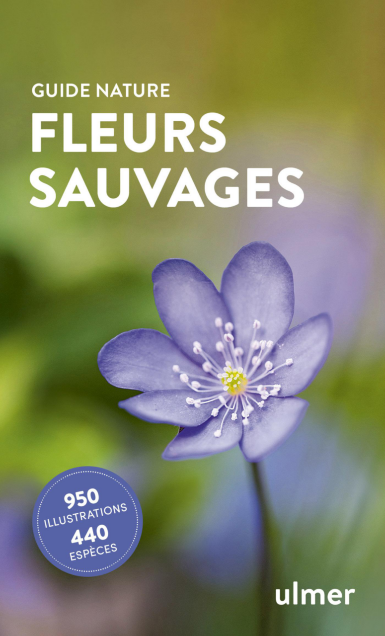 Livre Fleurs sauvages - Guide nature aux Éditions Ulmer - 192 pages
