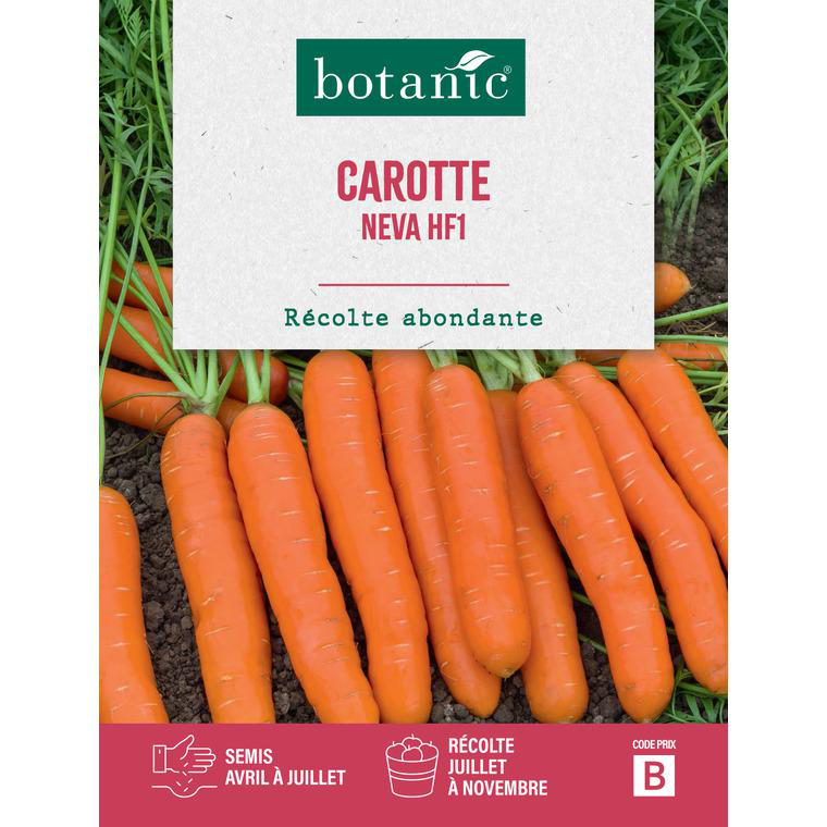 Graines de Carotte neva hybride F1 botanic® - graines à semer