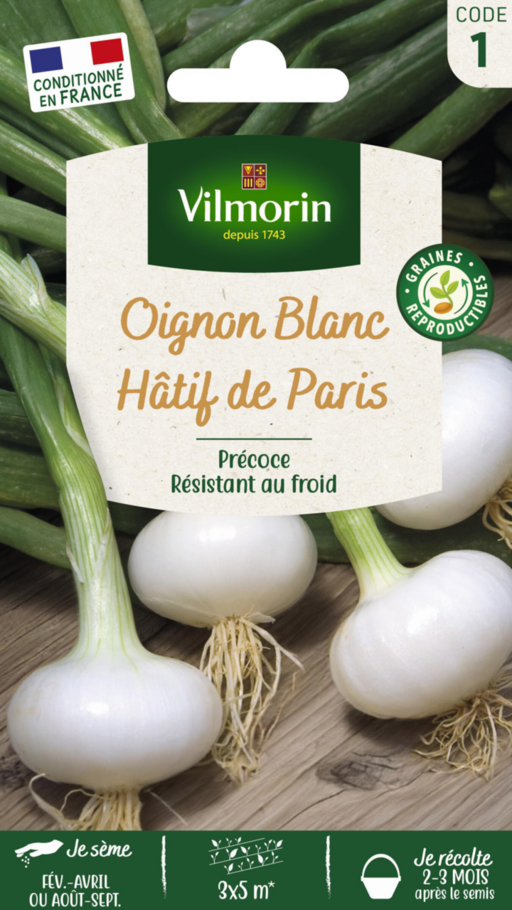 Oignon blanc Hâtif de Paris Vilmorin - graines à semer