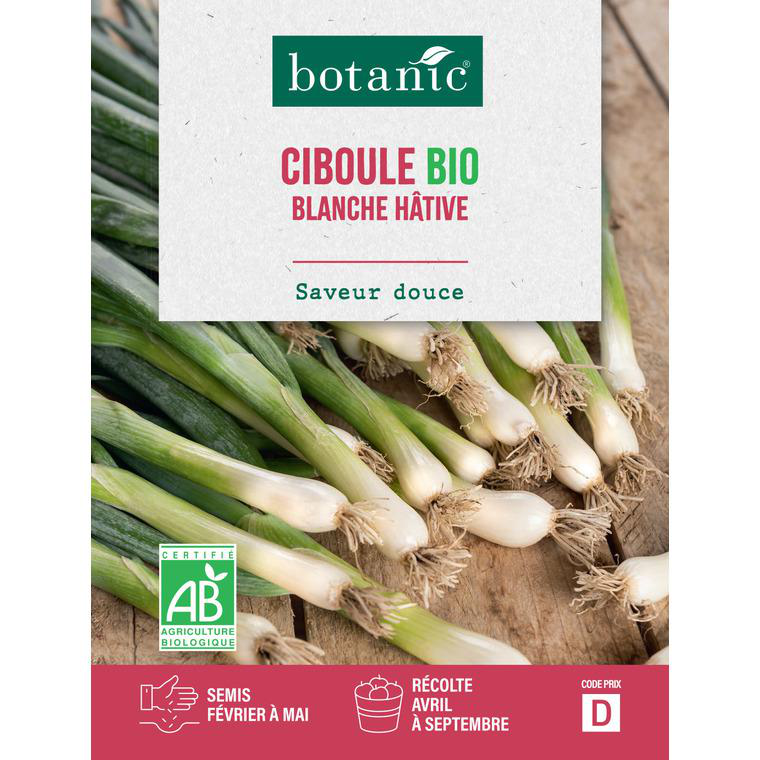 Graines de ciboule blanche hâtive bio botanic® - graines à semer | botanic®