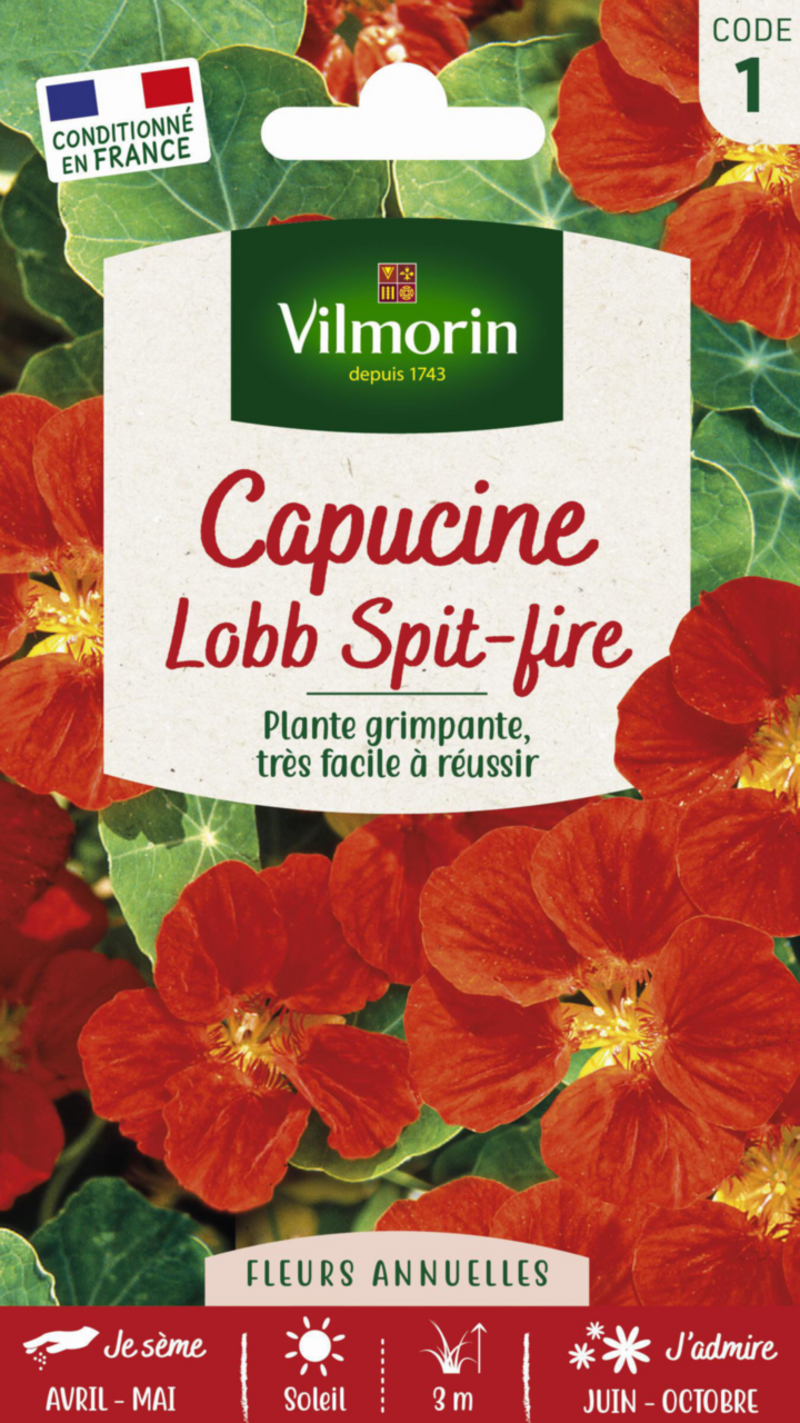 Capucine Lobb Spit-Fire Vilmorin - graines à semer | botanic®