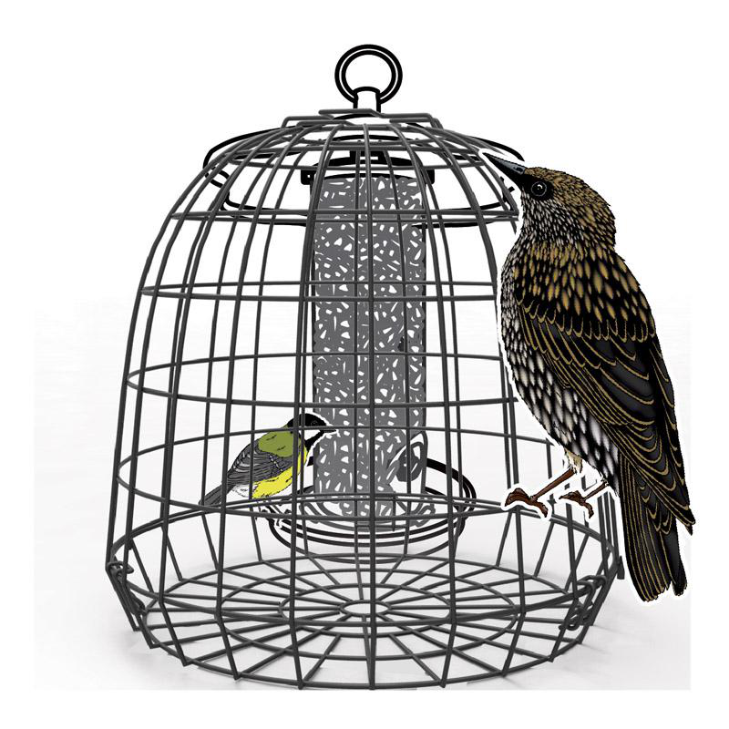 Fabriquer Une Cage Anti Etourneaux
