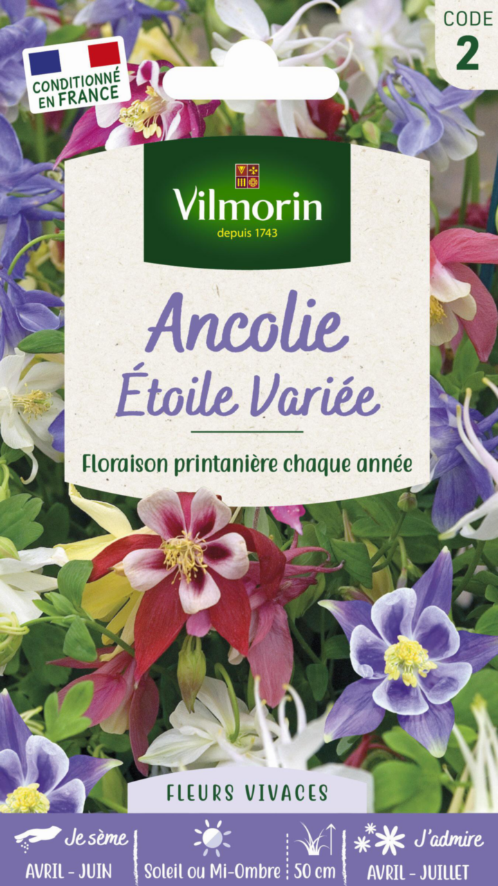 Graines d’Ancolie Étoile variée Vilmorin - graines à semer