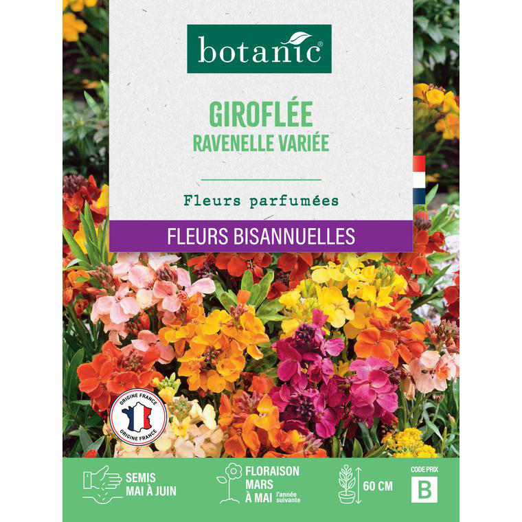 Graines de fleurs Giroflée ravenelle variée botanic®
