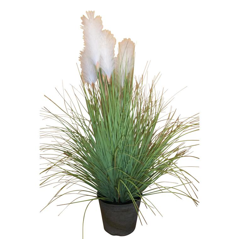 Herbe de la pampa pot zinc 180cm | botanic®