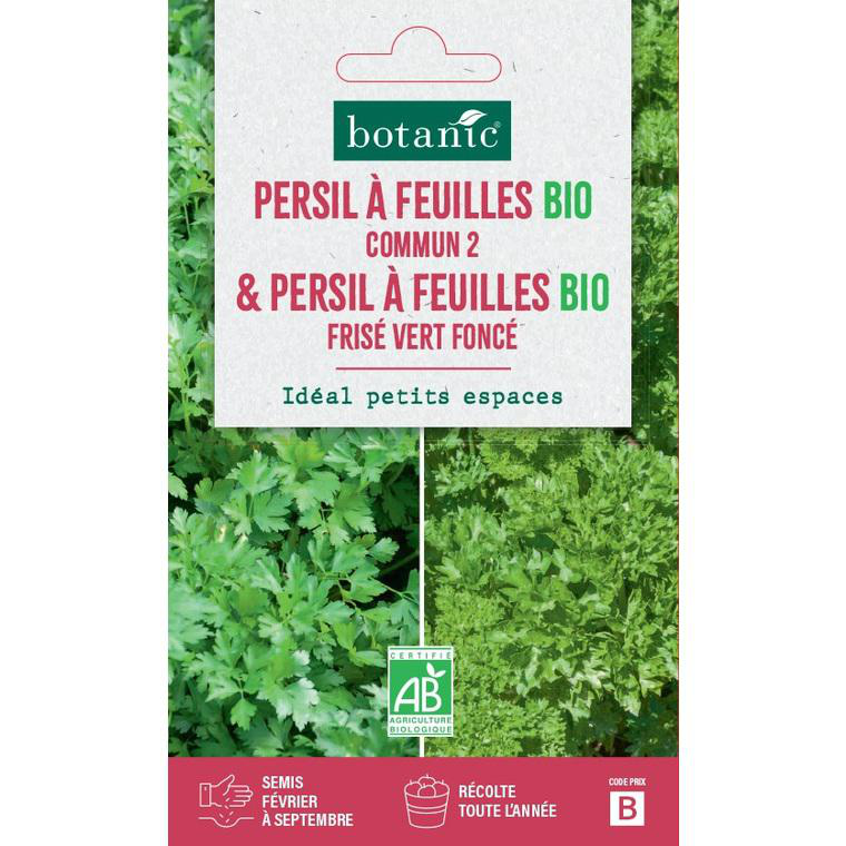 Mélange de graines persil à feuilles commun bio et de persil à feuilles ...