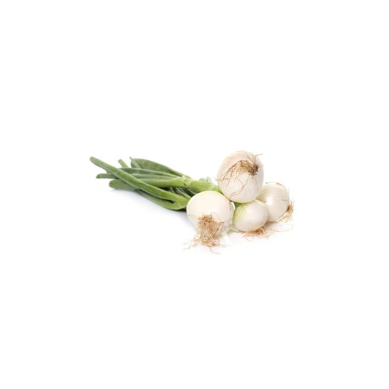 Cebette bio de France en botte - Prix à la pièce | botanic®