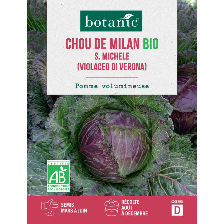 Graines de Chou de milan saint Michèle bio botanic® - graines à semer