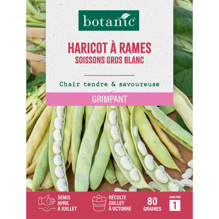 Graines d'haricot à rames soissons gros blanc botanic® - 80 graines à semer
