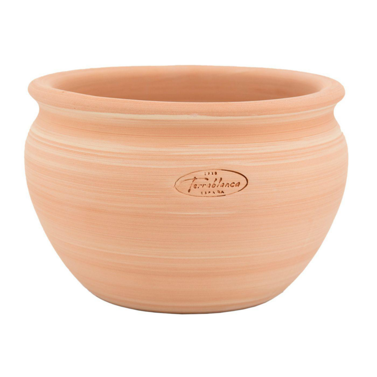 Sitemapcdatahttpsshopinf Inetcombotanic Pot Terre Cuite