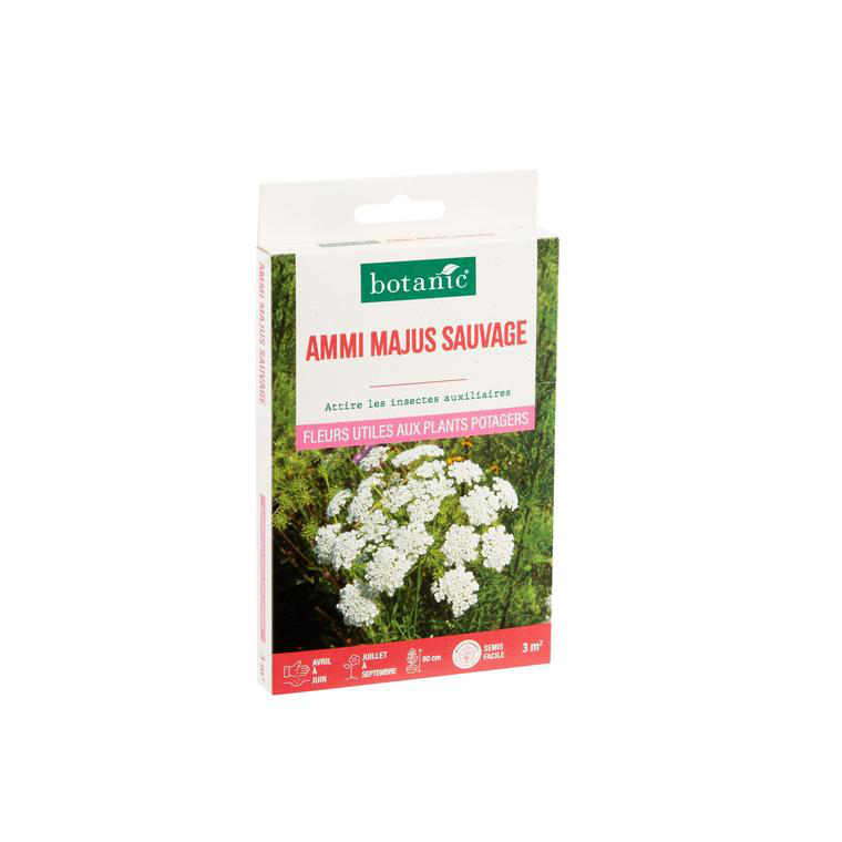 Ammi Majus sauvage botanic® - graines à semer (3 m²) | botanic®