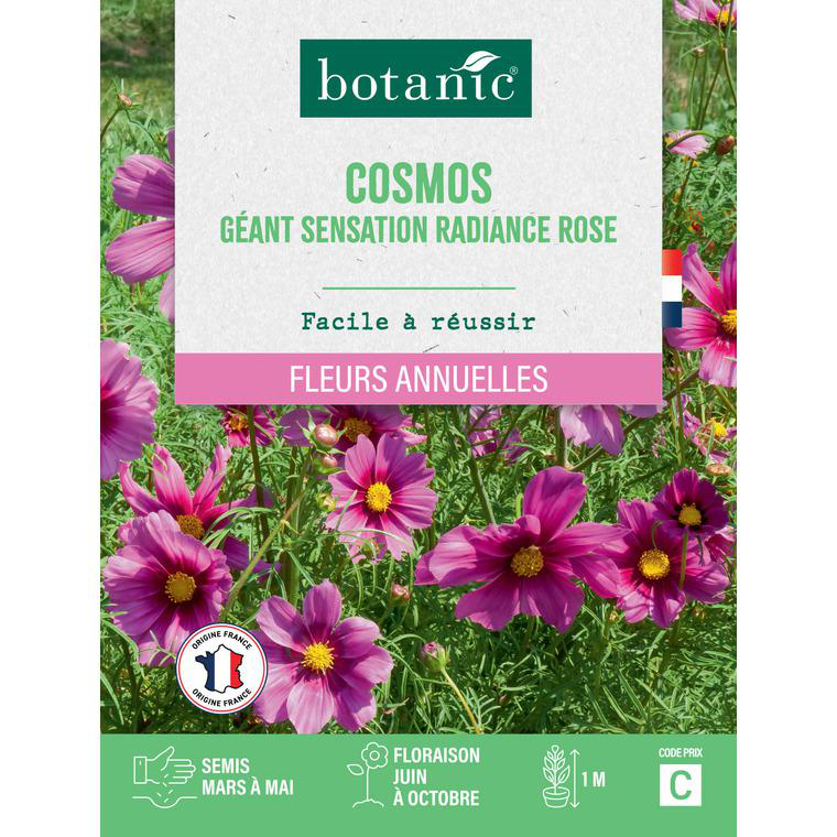 Graines de fleurs de Cosmos géant Sensation radiance rose botanic ...