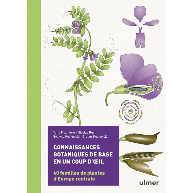 Connaissances botaniques de base en un coup d’œil Editions Ulmer | botanic®