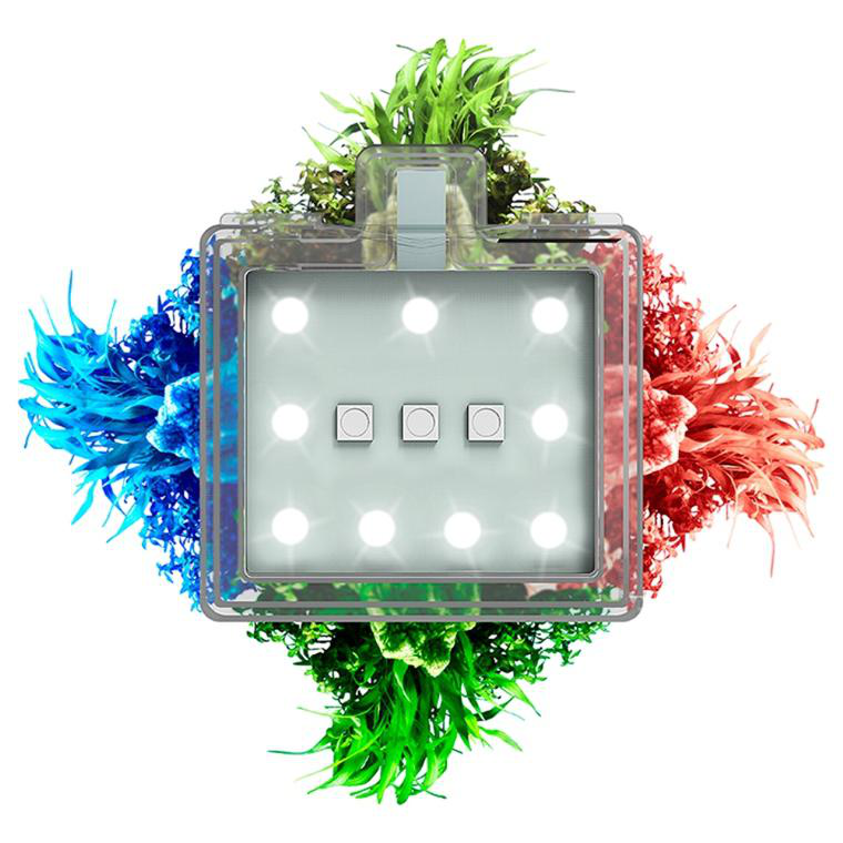 Alimentation Led Nexus Cln 5 Rgb Compatible Nexus 5C