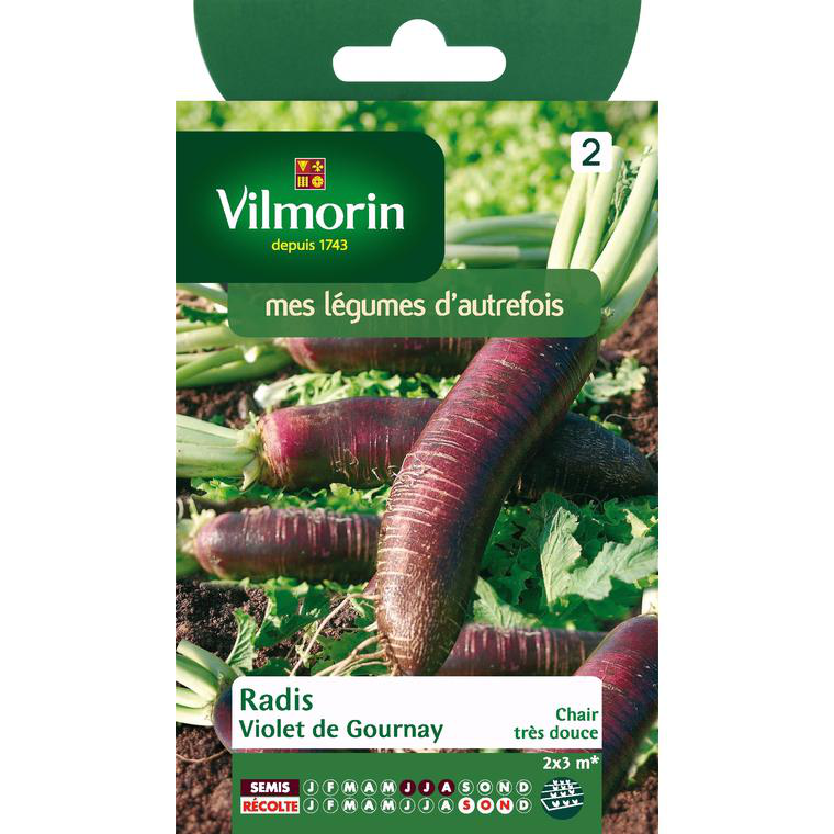 Graines de radis violet de gournay Vilmorin - graines à semer | botanic®